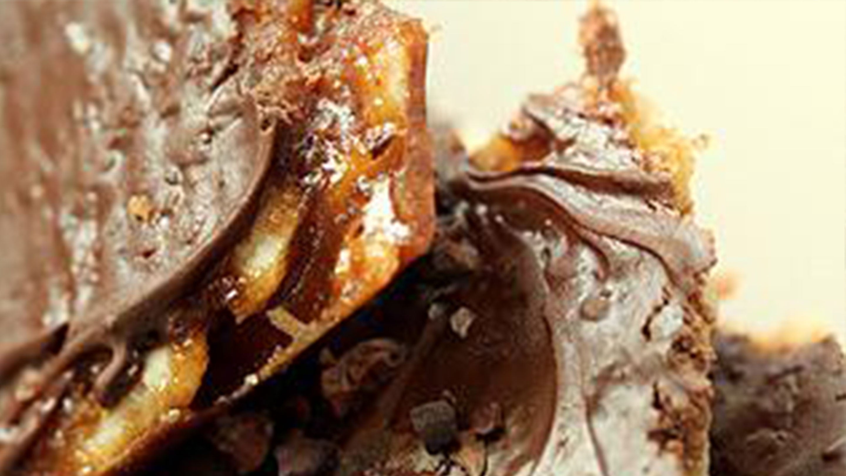 Matzoh Caramel Crunch (a/k/a Matzoh “Crack”) – Hammertown